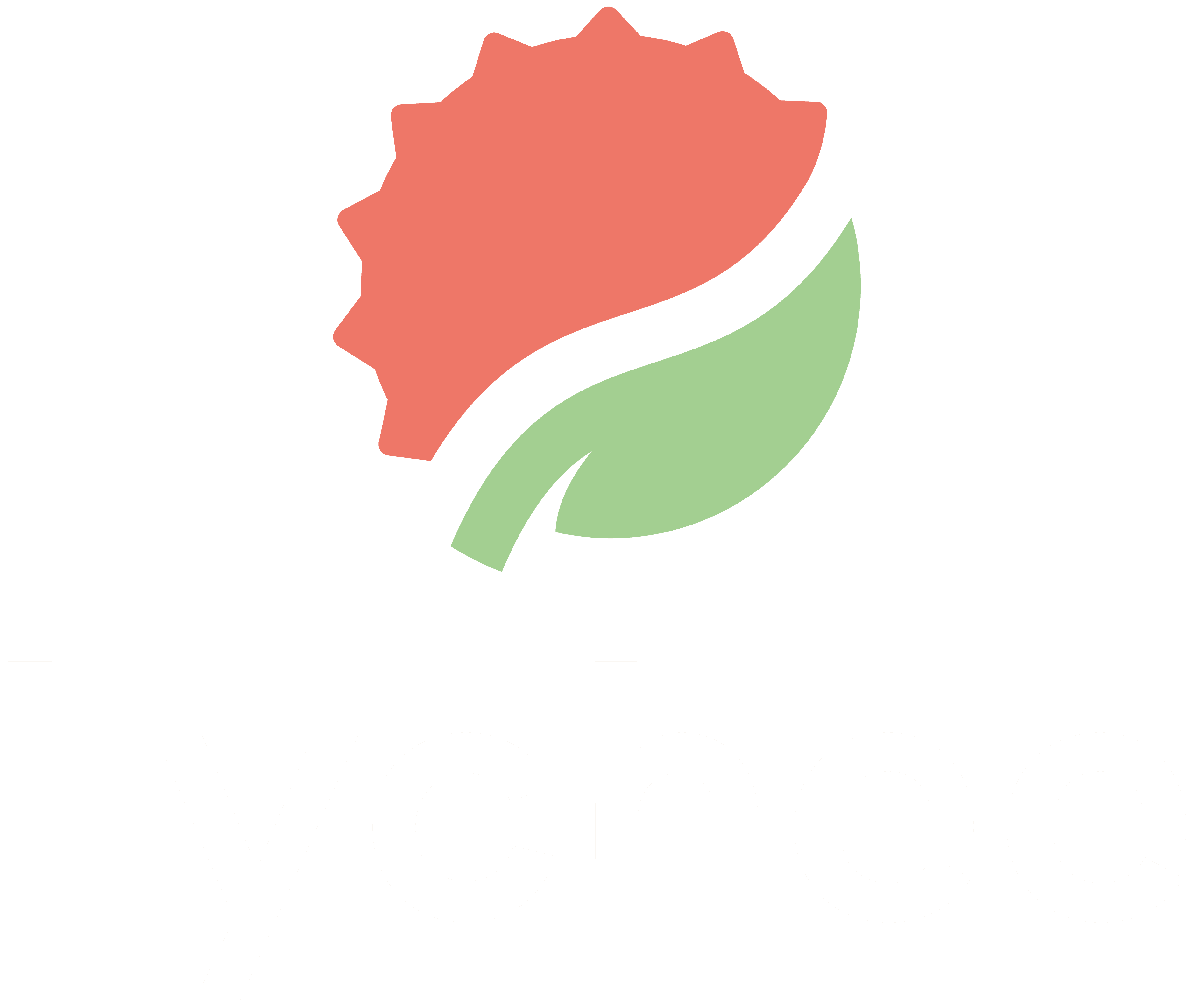 Lychee, from digital to reality — Lychee
