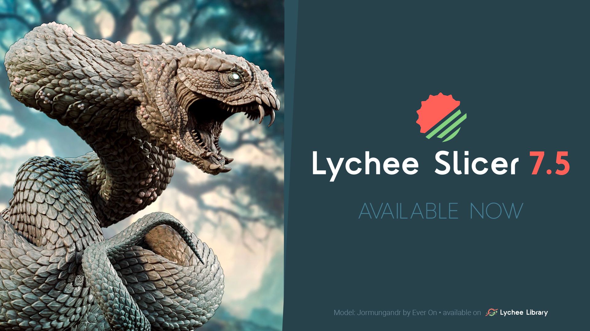 Lychee Slicer 7.5.0 — Lychee